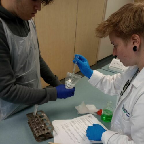 Animal Sciences | Bishop Burton College